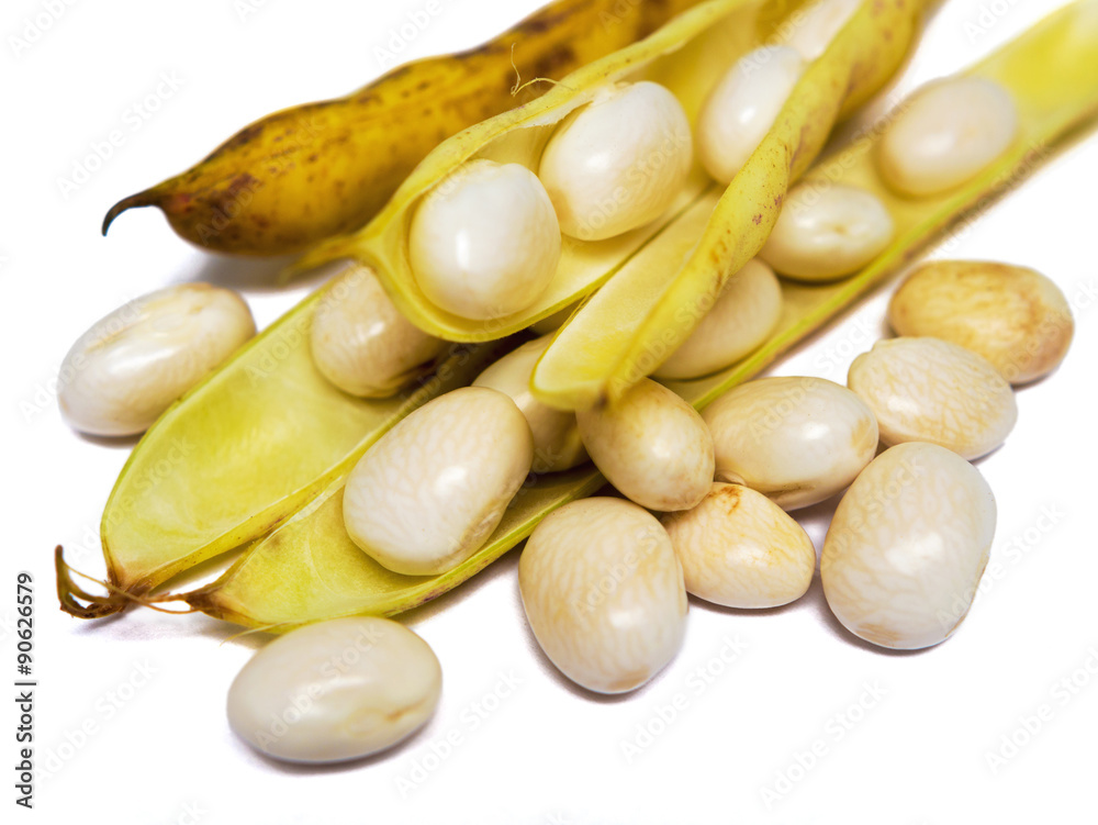 Coco de Paimpol Stock Photo | Adobe Stock