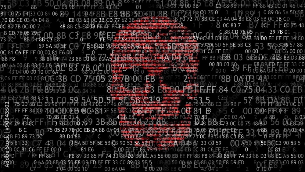 Concept of computer security. The skull of the hexadecimal code. Pirate ...