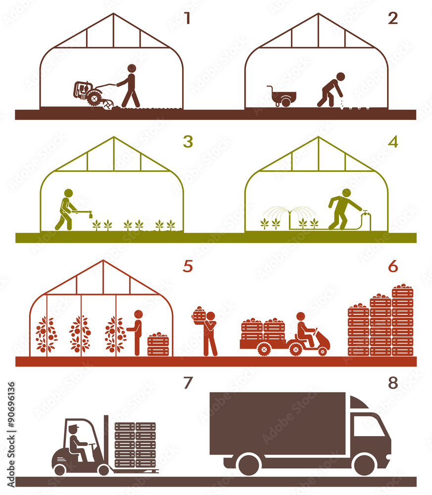 Agricultural process in greenhouse. Pictogram icon set presenting ...