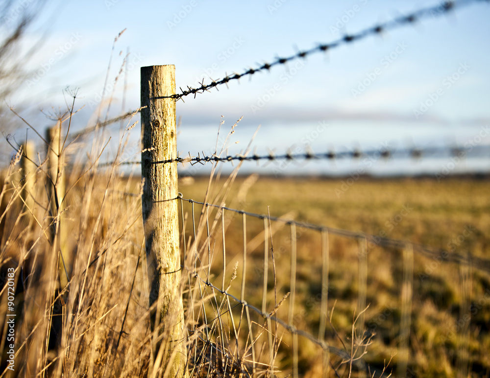 Fence Stock Photo | Adobe Stock
