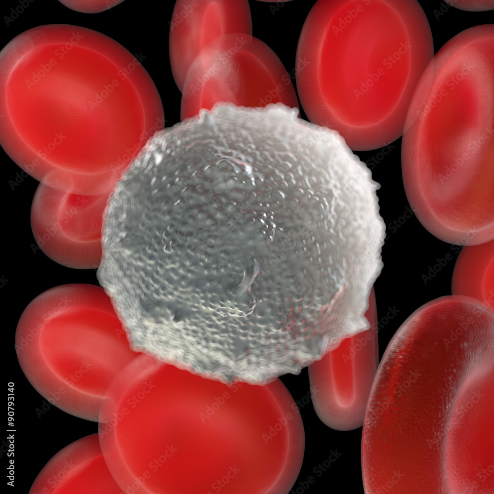 red blood cells,activated platelet and white blood cells microscopic ...