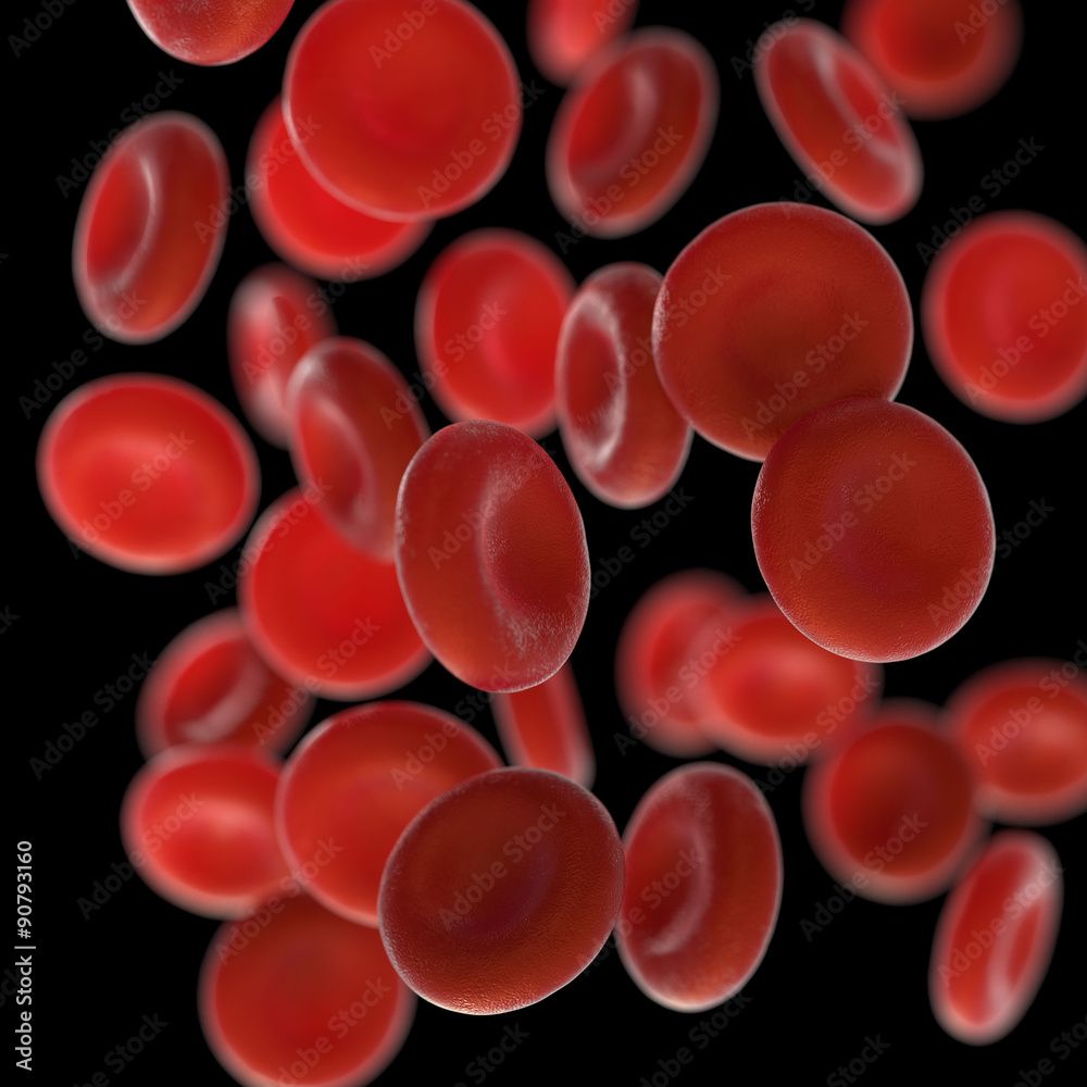 red blood cells illustration of microscopic photos Stock Illustration ...