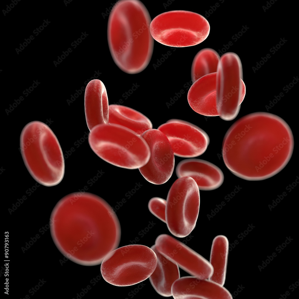 red blood cells illustration of microscopic photos Stock Illustration ...
