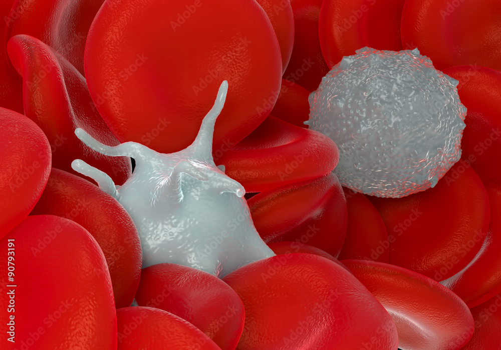 red blood cells,activated platelet and white blood cells microscopic ...