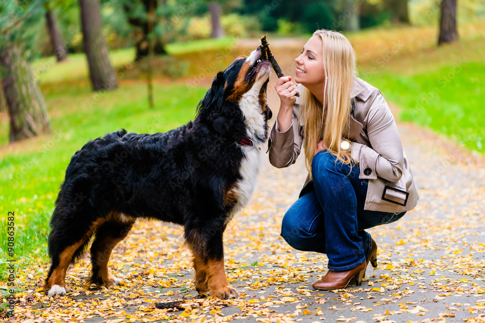Frau geht Gassi mit Hund im Herbst Park Stock-Foto | Adobe Stock Frau geht Gassi mit Hund im Herbst Park Stock-Foto | Adobe Stock