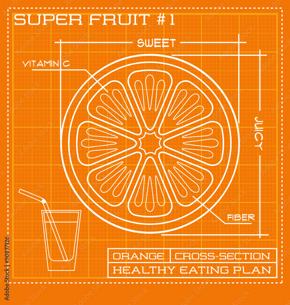 Vetor do Stock: Blueprint diagram line drawing of fruit. Infographic of ...