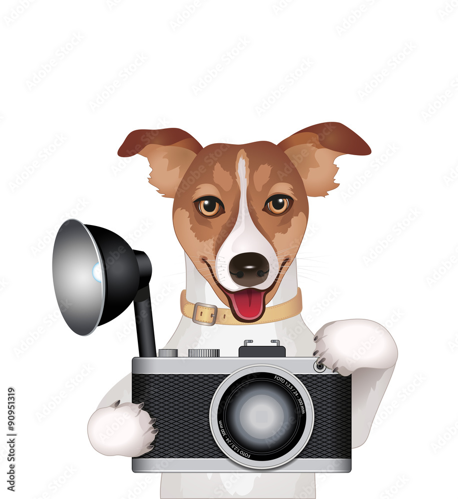 Dog with a camera, vector illustration isolated on white background ...