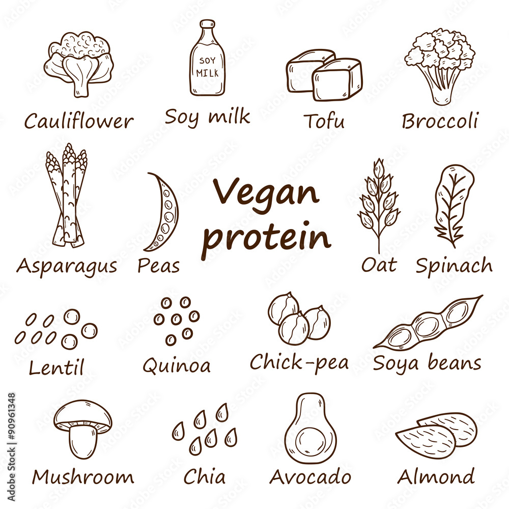 Set of cartoon hand drawn objects on vegan protein source theme Stock ...