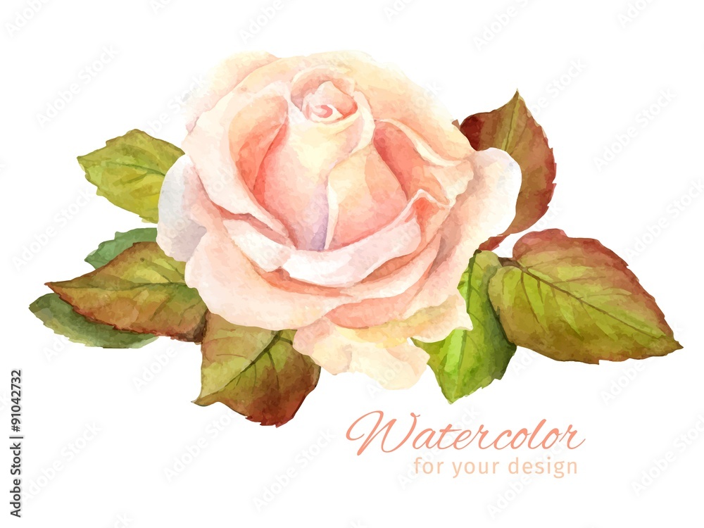 Rose watercolor. Vector illustration for greeting cards, invitations ...