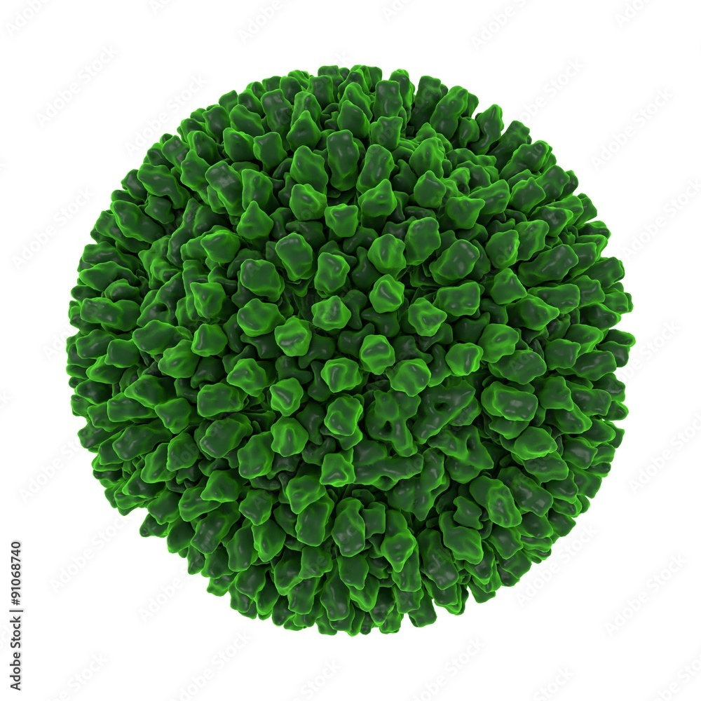 Reovirus isolated on white background. A virus causes infection of ...