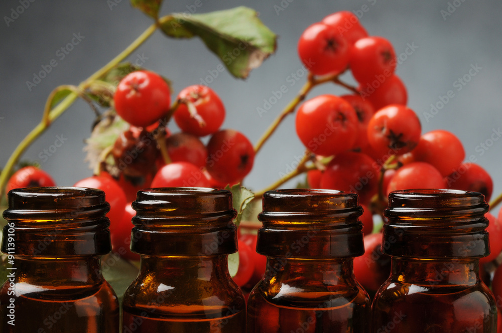 Sorbus Σόρβον Pihlajat Արոսենի Šermukšnis Рябина Sorbo Berkenye ...