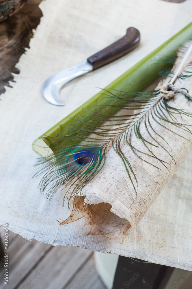 Rolled papyrus paper, quill pen, a section of the plant and the typical ...