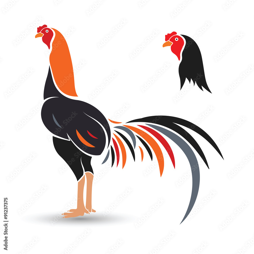 gamecock Stock Vector | Adobe Stock