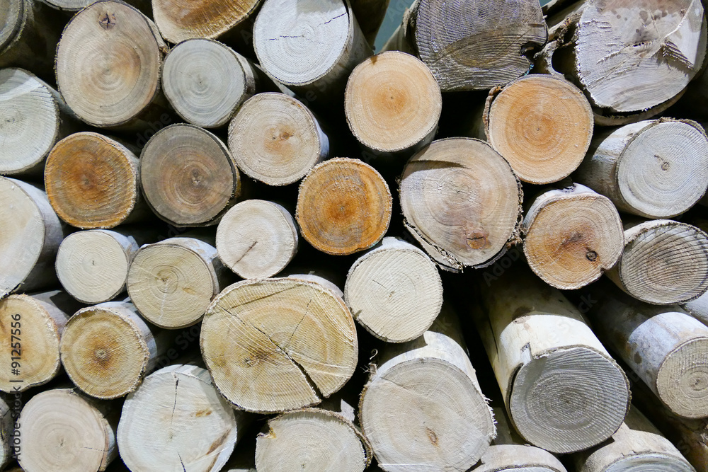 log surface for background texture Stock-Foto | Adobe Stock