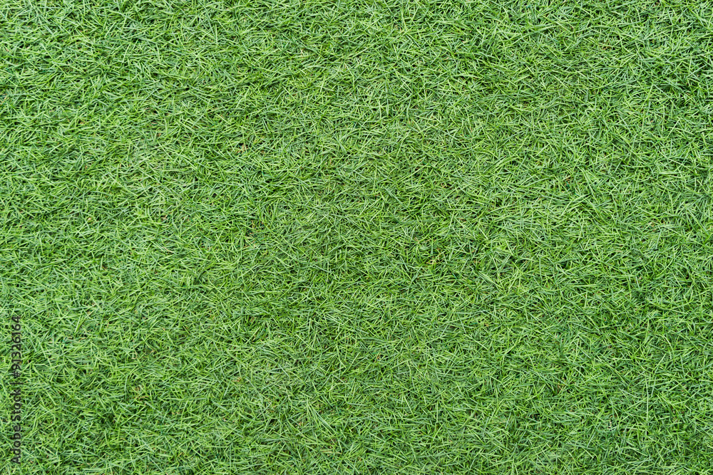 Grass texture background Stock Photo | Adobe Stock
