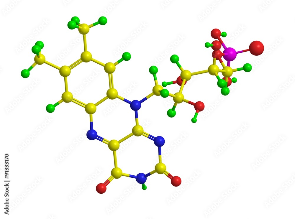 Flavin Mononucleotide
