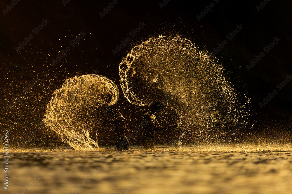 Two boys water splash. Stock Photo | Adobe Stock