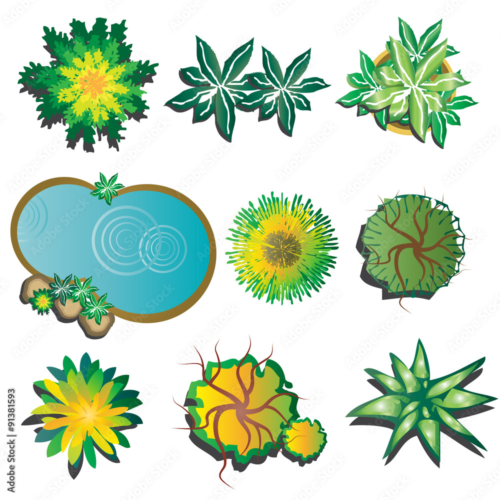 Plants top view set 2, Plants layout plan Stock Vector | Adobe Stock