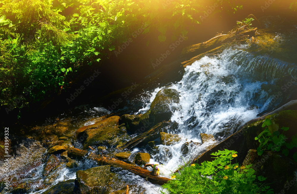 Stream Stock Photo | Adobe Stock