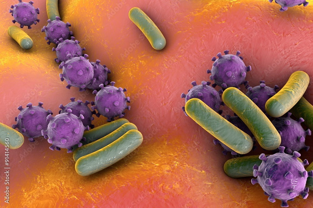 Bacteria and viruses on surface of skin or mucous membrane, model of ...