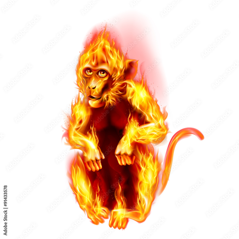 Fire Monkey Stock Illustration | Adobe Stock
