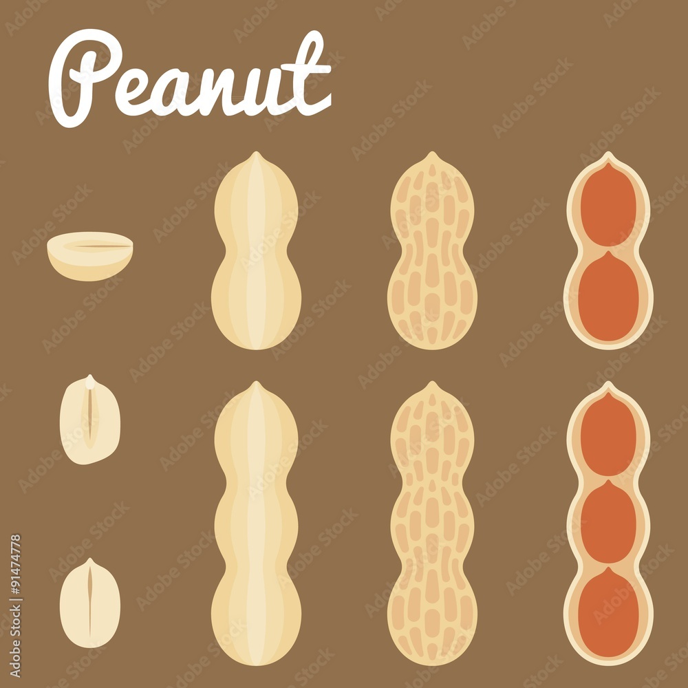 Peanuts. Vector illustration of a set of peanuts,flat design Stock ...
