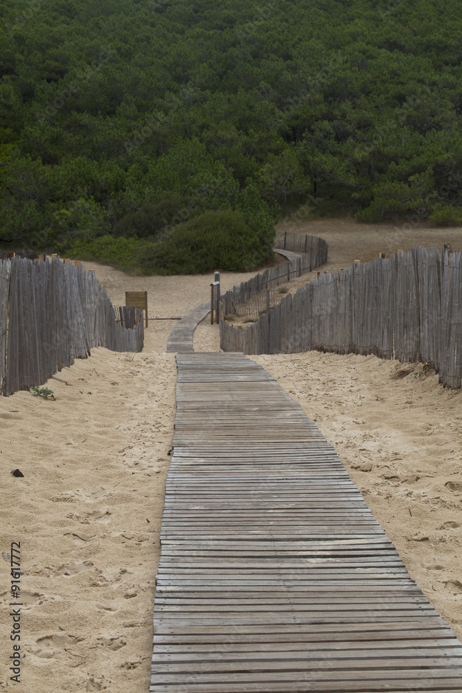 Path to the Beach.A boardwalk leads from the beach through the local ...