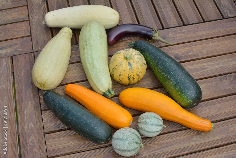 Cucurbitacées sur un plancher Stock Photo | Adobe Stock