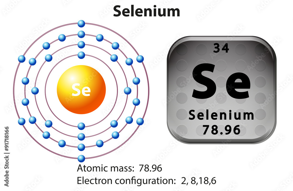 Symbol and electron diagram for Selenium Stock Vector | Adobe Stock