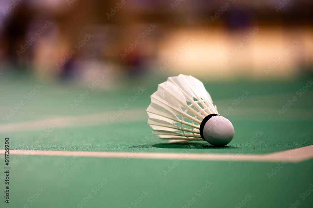 badminton Stock Photo | Adobe Stock