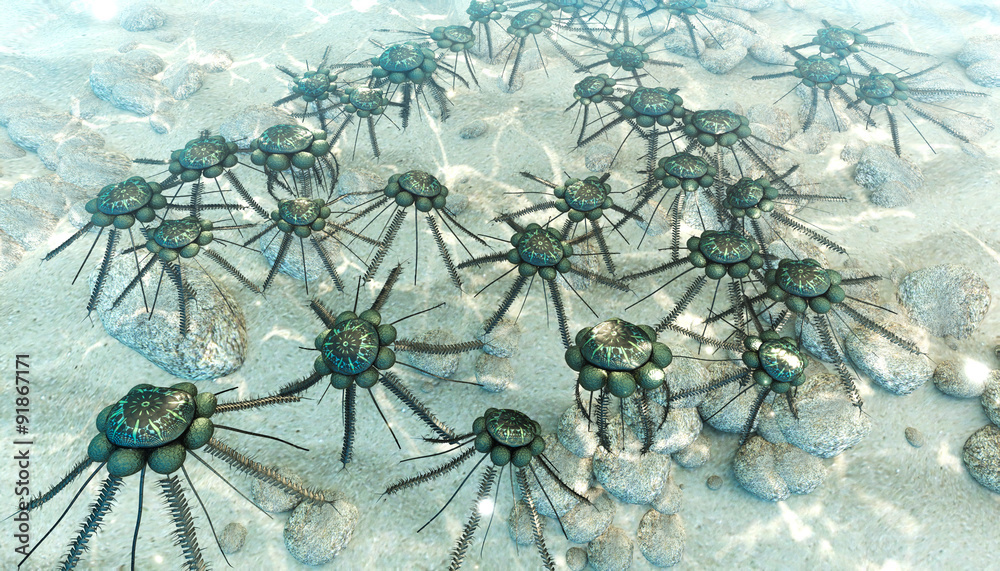 Ordovician Graptolites