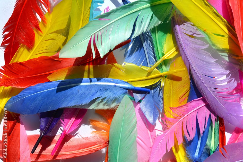 Colorful Feathers Background