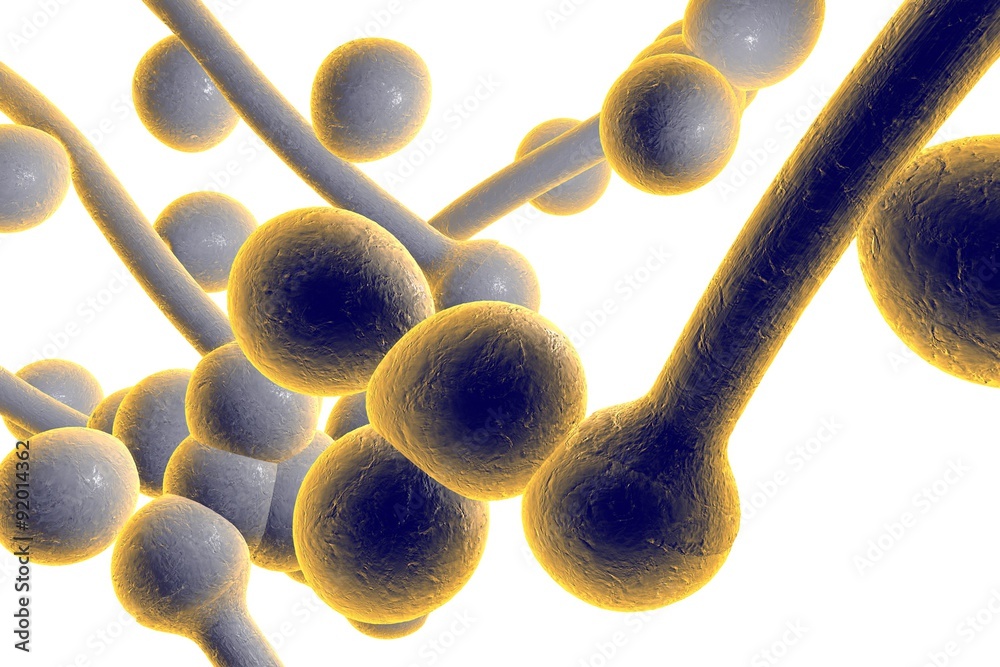 Digital illustration of fungi Candida albicans which cause candidiasis ...