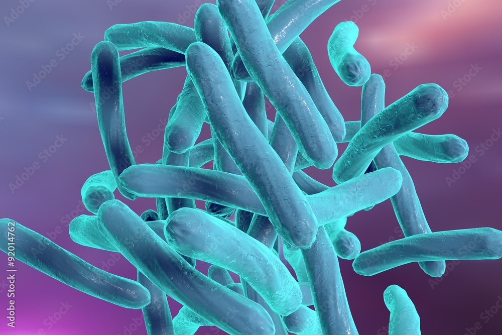 Bacterium. Microscopic view of bacterium Mycobacterium tuberculosis on ...