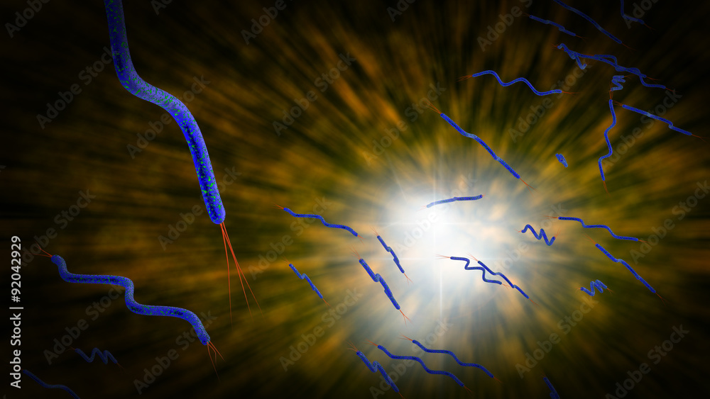 Spirilla Bacteria Stock Illustration Adobe Stock