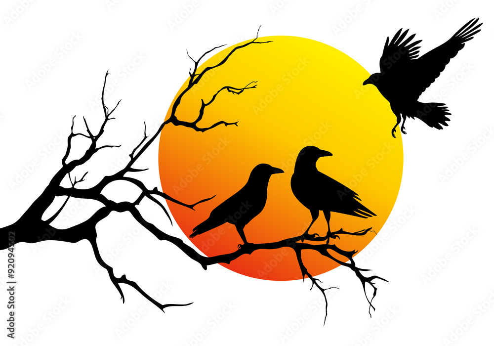ravens on tree branch, vector vector de Stock | Adobe Stock