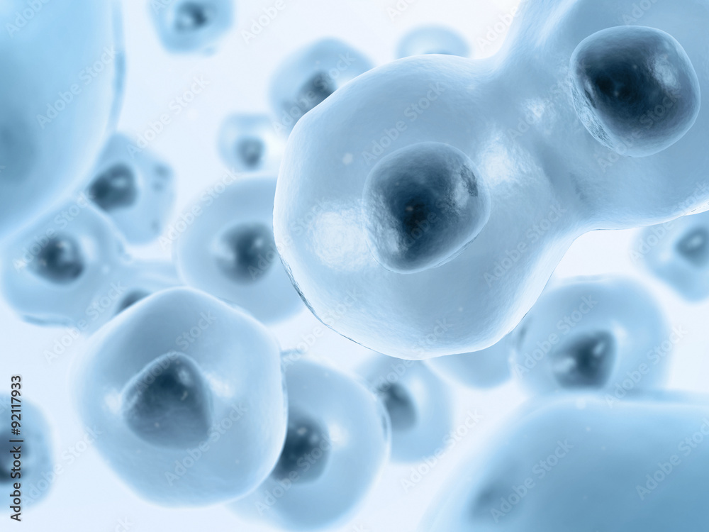 Cell divides into two cells. Blue-gray color. Stock Illustration ...