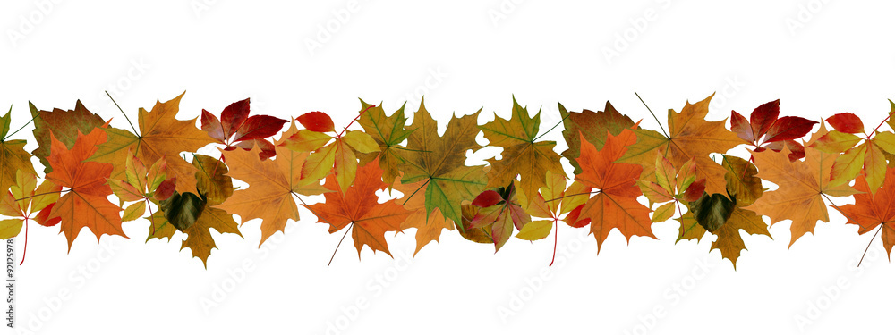 Autumn leaves border - isolated on a white background Stock ...