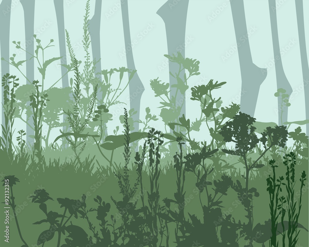 Woodland Landscape Stock Vector | Adobe Stock