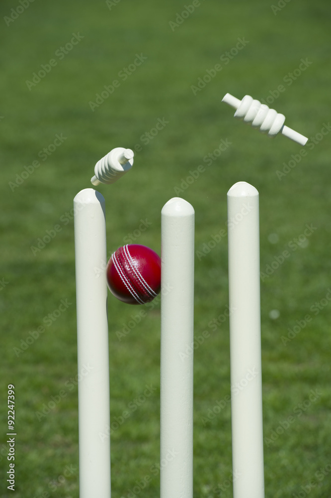 Cricket Bails