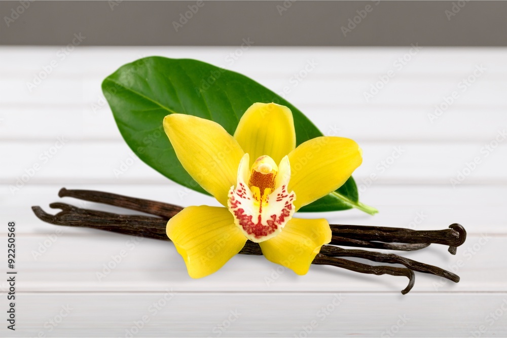 Vanilla. foto de Stock | Adobe Stock