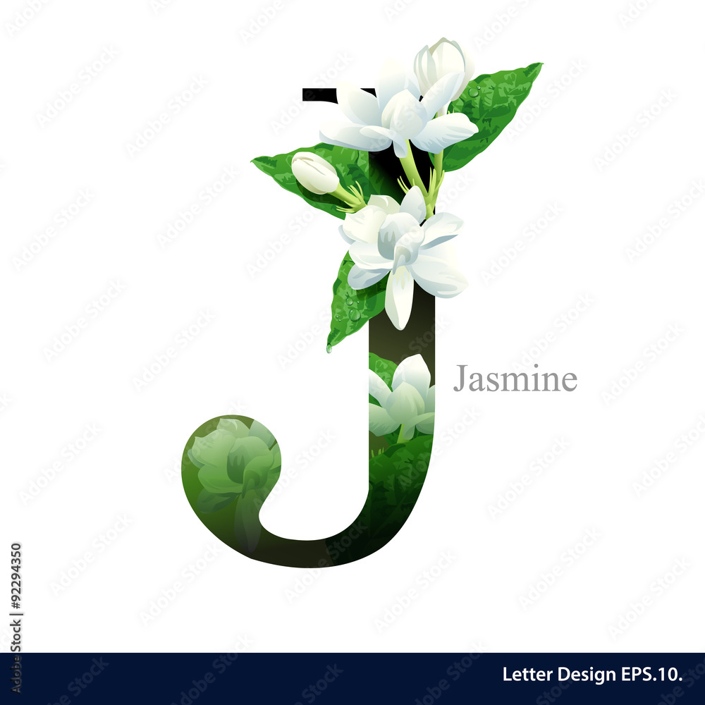 Letter J vector alphabet with Jasmine flower. ABC concept type Stock ...
