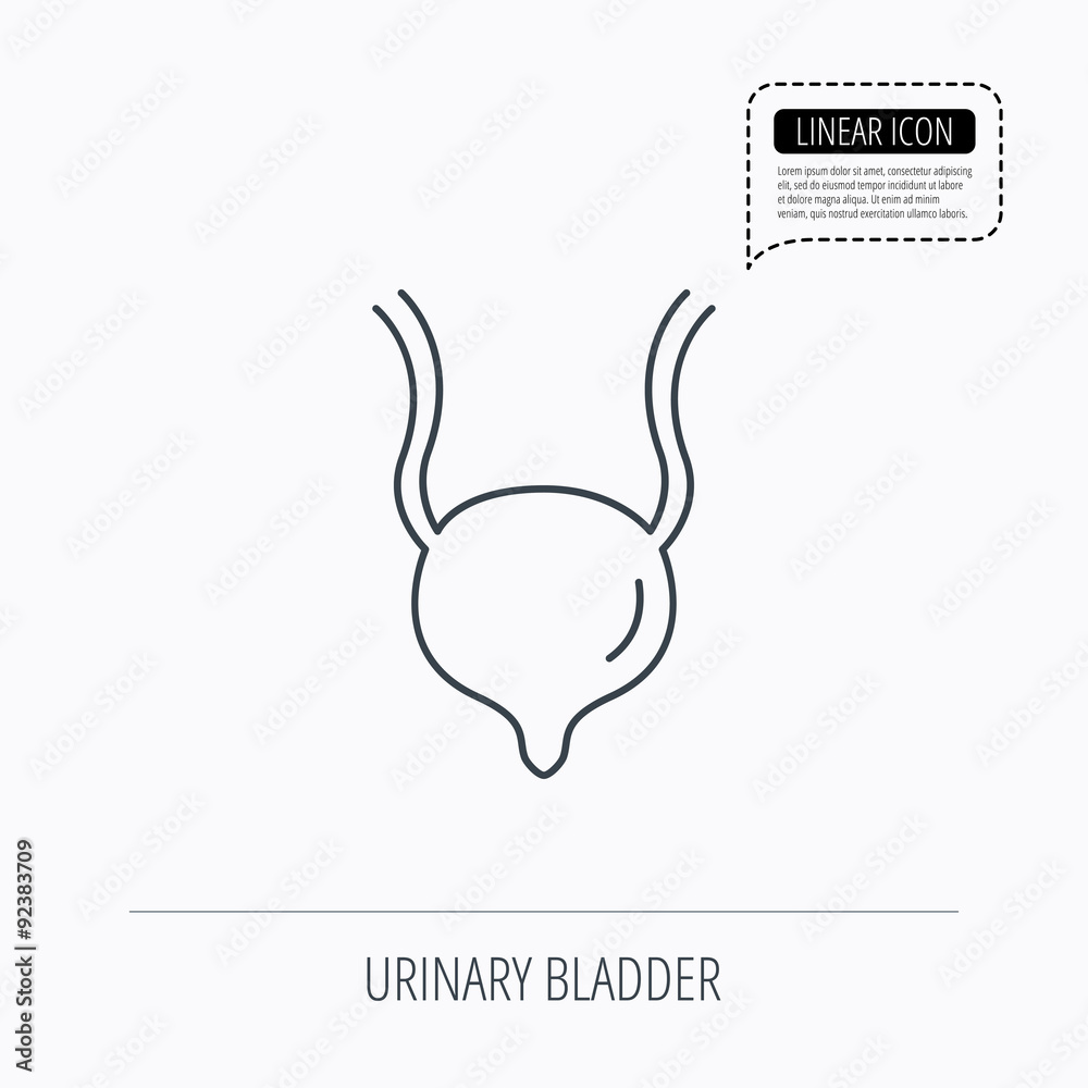 Urinary bladder icon. Human body organ sign. Stock Vector | Adobe Stock