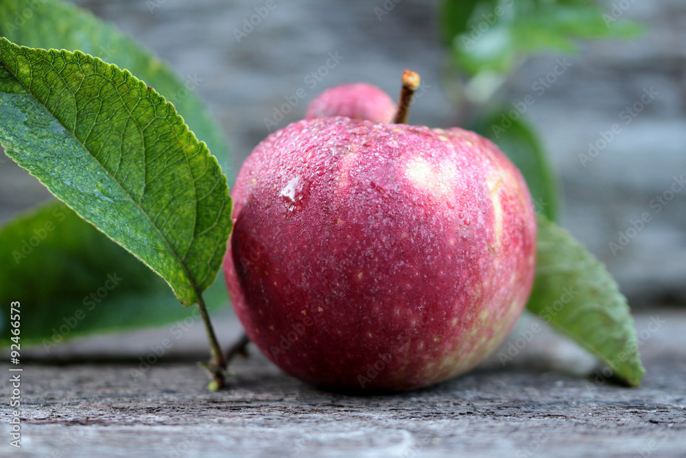 heimische, alte apfelsorte ingrid-marie Stock 写真 | Adobe Stock