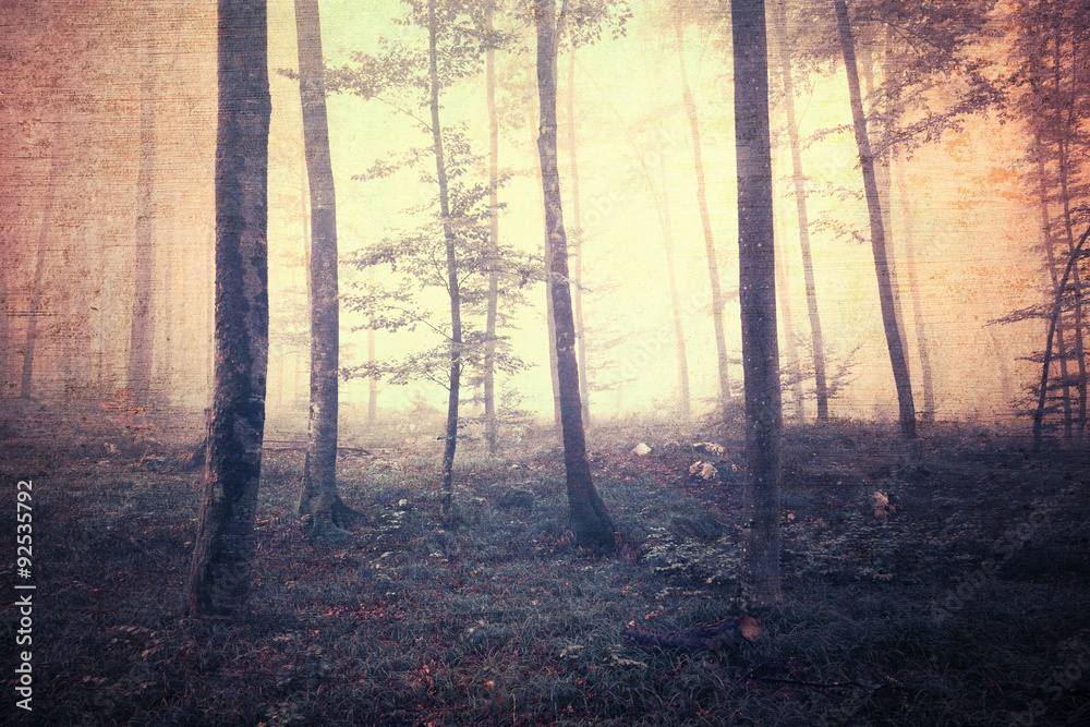 Grunge scary yellow red colored foggy forest landscape background ...