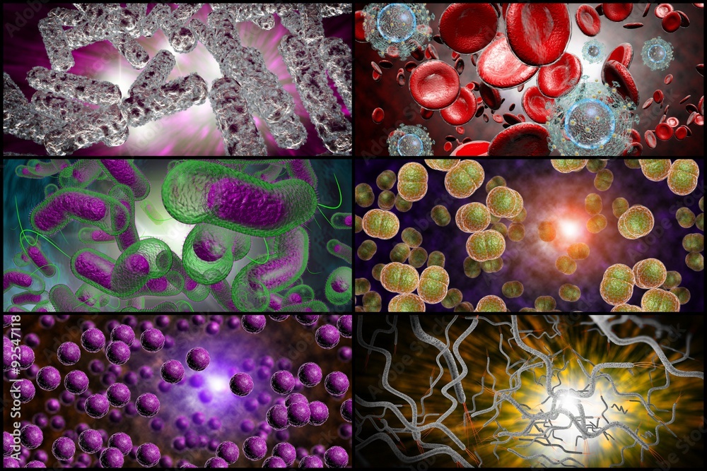 Bacteria Infection Collage Stock Illustration | Adobe Stock