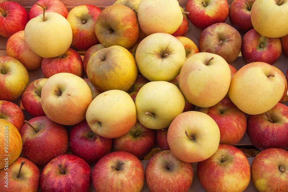 Pommes de couleurs différentes en vrac Stock Photo | Adobe Stock