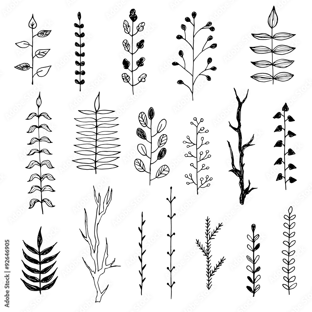 Hand drawn branches collection. Set of simple doodle branches isolated ...