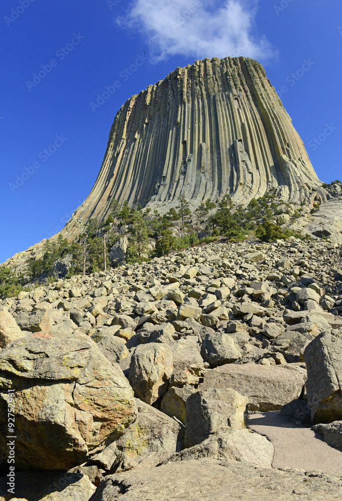 Devils Tower National Monument, a geological landform rising from the ...