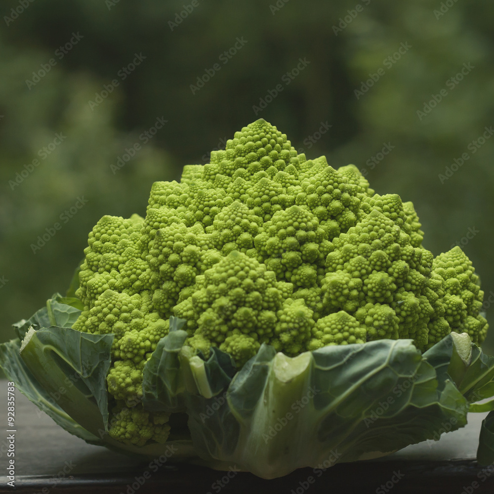 romanesco broccoli with logarithmic spirals with fibonacci numbe Stock ...